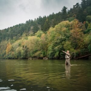 RIO Fly Lines & Fishing Products: Gold, Trout, Skagit, Premier
